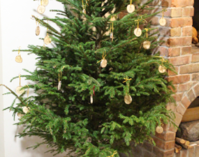 Tallinna Linnamuuseum